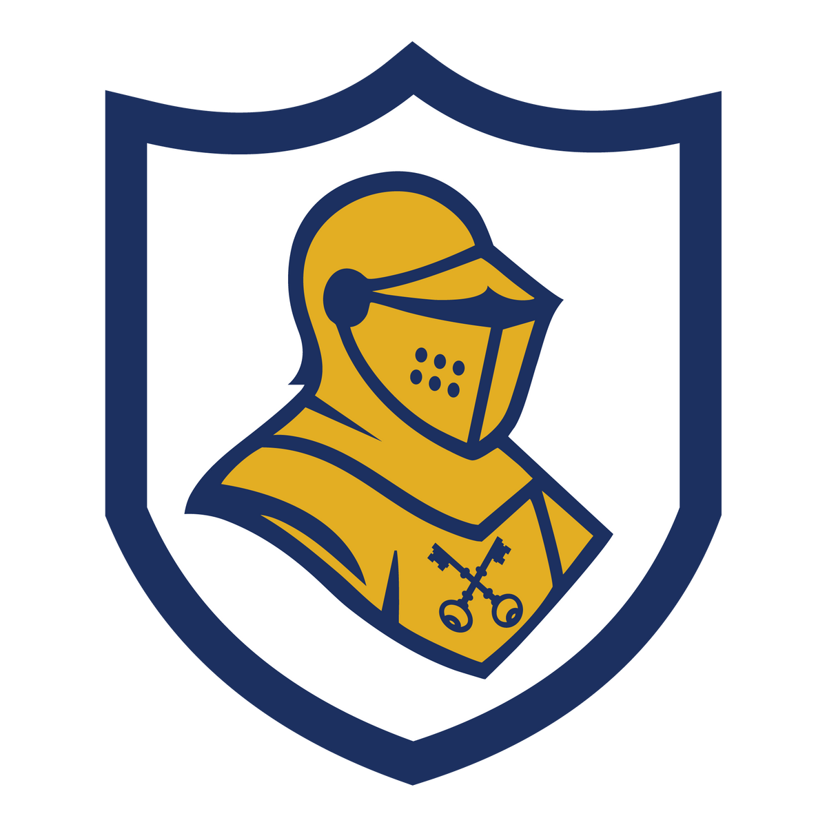 Paladin Premium Aftermarket Keys — Noble Key Supply